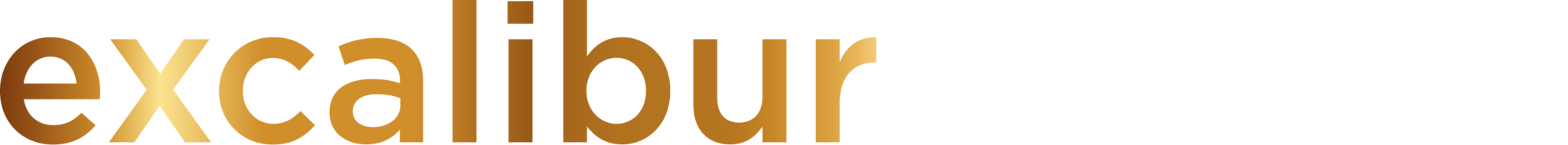 Excalibur Glider® | Zarc4Endo