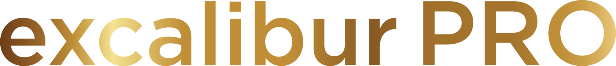 Excalibur Pro® | Zarc4Endo